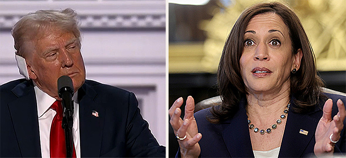 BREAKING: Kamala Harris secures the 2024 Democratic nomination