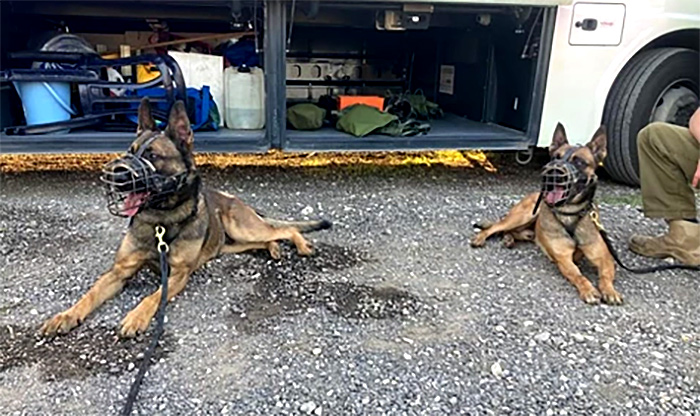 ICYMI: IDF OKETZ K9 UNIT: What is it like to lose a 4-legged friend?