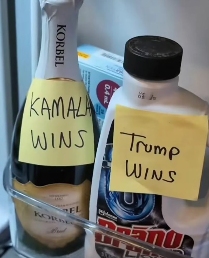 ICYMI: Disney’s star Bette Midler suggests drinking drano if Trump wins