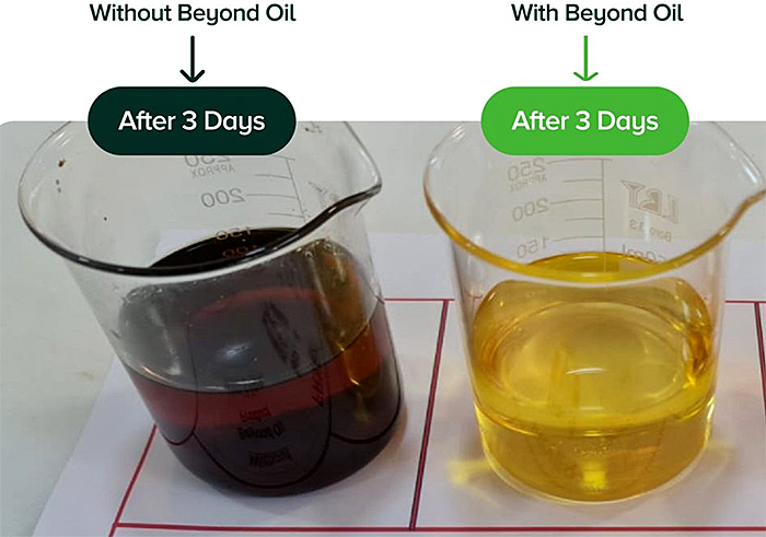 Beyond Oil Takes Off in the U.S.: First Shipment of 10.8 Tons Completed – Launching a $8.3 ...