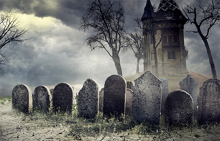 Musk: Social Security age database will SHOCK YOU!